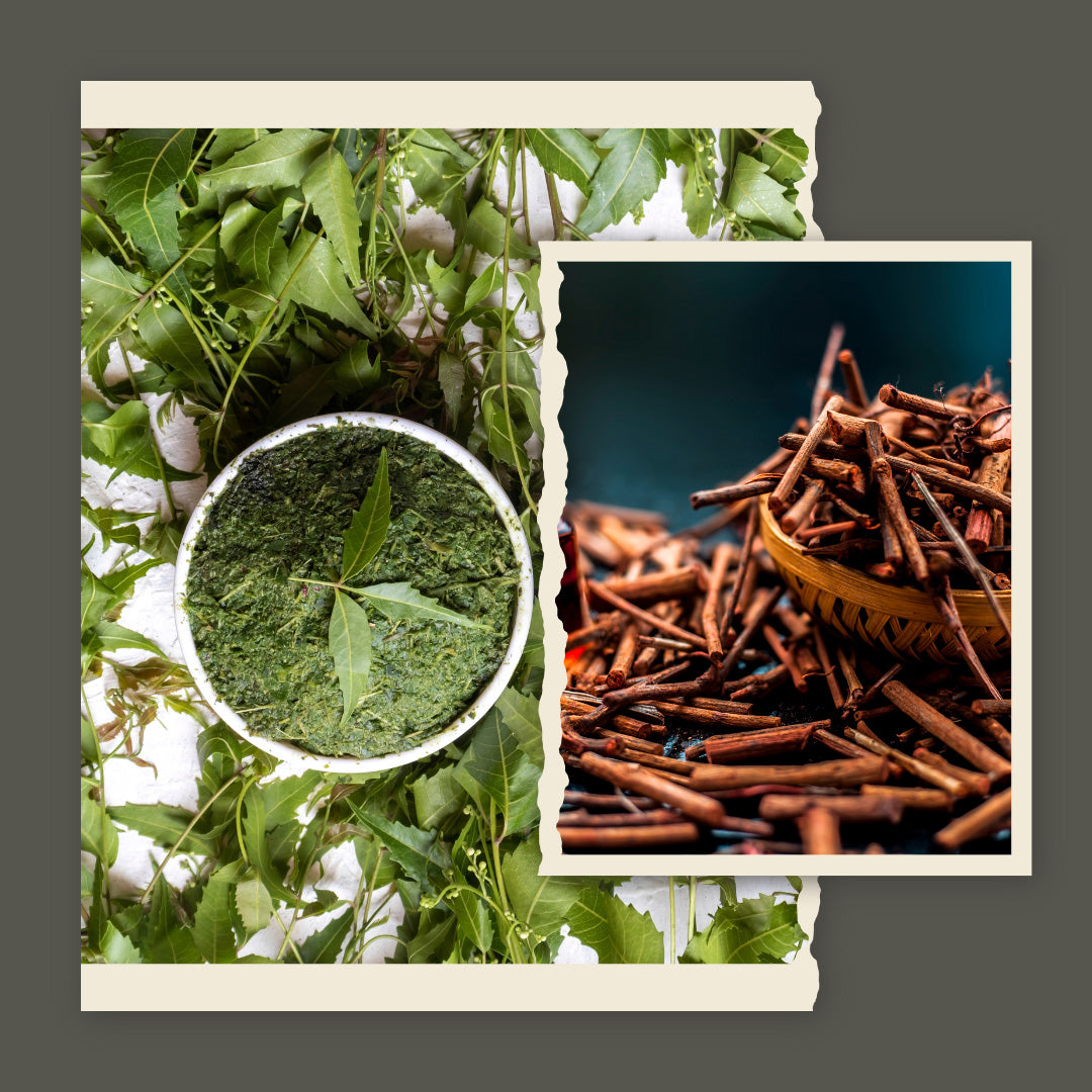 Pitta Dosha Characteristics: Neem & Manjistha Solutions - Ciamor Skincare